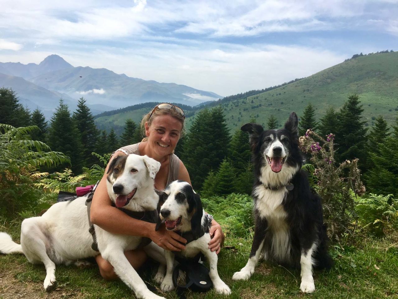 Qui de Animaux Secours travaillent sur ce projet ? - Animaux-Secours – L’Espoir Continue